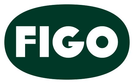 Blog - Figo