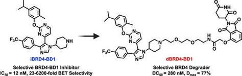 N 端 Brd4 溴结构域靶向降解剂的开发acs Medicinal Chemistry Letters X Mol