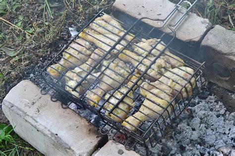 한 남자가 정원에서 바비큐를 하며 고기와 야채를 굽는다 0명에 대한 스톡 사진 및 기타 이미지 0명 고기 구이 Istock