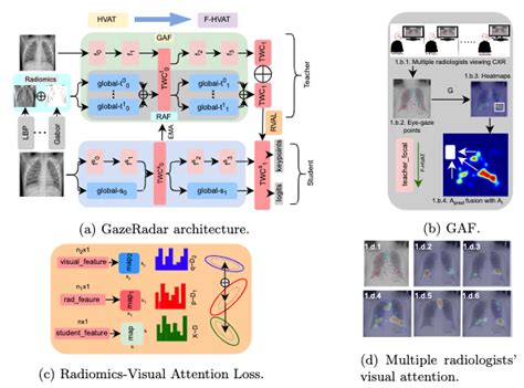 GitHub Bmi Imaginelab Gazeradar