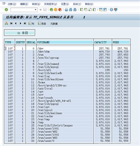 sap al06统计服务器文件系统的功能 sap 服务器文件系统 csdn博客