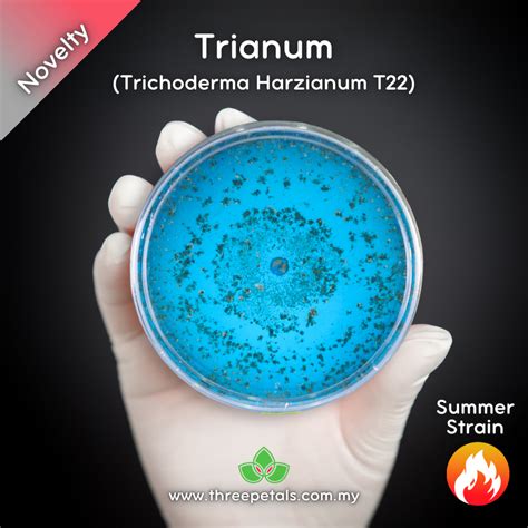 Trianum Trichoderma Harzianum T22 Live Mycelium Mushroom Culture