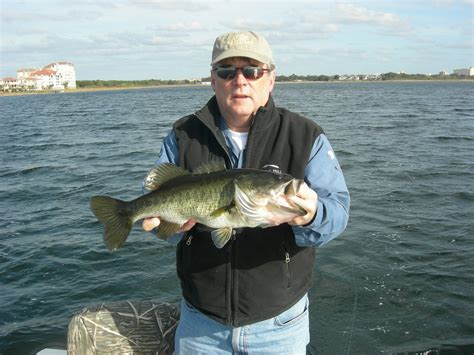 Bass Online Orlando Bass Fishing Guide