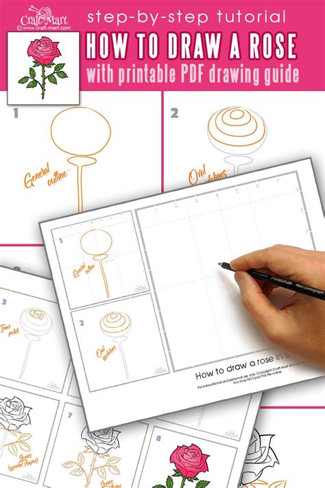 Flower Drawing Step By Pdf Best Flower Site