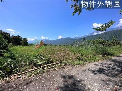 專任 壽豐鄉近共和村優美農地f557 花蓮縣壽豐鄉三農段房屋出售 Ut0126263 有巢氏房屋