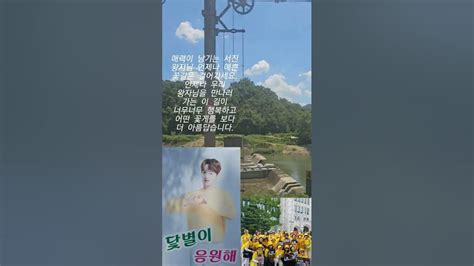 박서진 빙그레 와박서진 팬미팅 가는 길 아침 기차에서 꽃길 Youtube