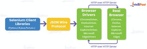 Selenium Architecture Its 4 Major Components