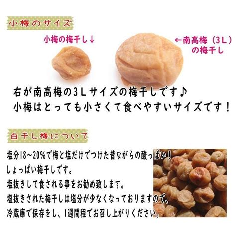 白干小梅 3キロ（1kg×3） ご家庭用 B級品 【梅干し】【うめぼし】 Shiraboshikoume3 梅とみかん 紀州葵農園