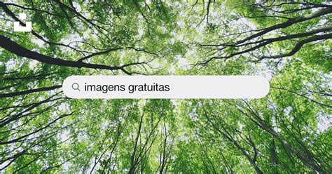 Imagens Gratuitas Fotos Baixe Imagens Gratuitas Na Unsplash