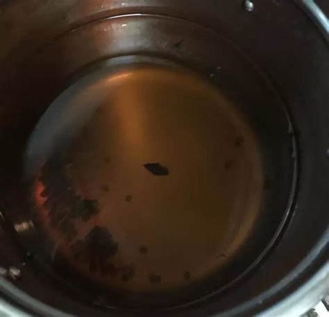 奶奶35年醃鴨蛋的土方法，只需要做好這幾步就能讓鴨蛋個個都冒油 每日頭條