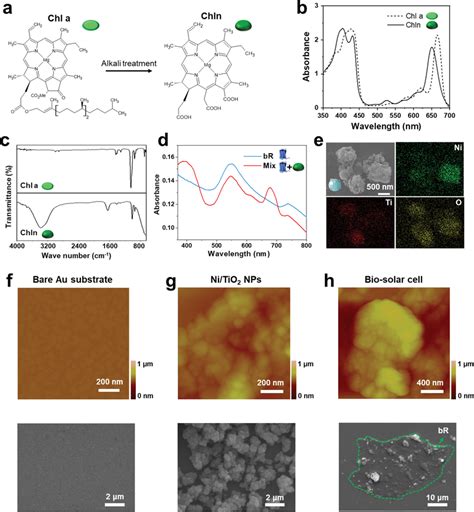 Preparation Of Components Of The Bio‐solar Cell And Its Development A
