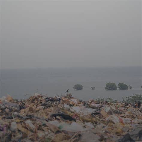 Post Consumer Recycled Polypropylene — Oceanworks