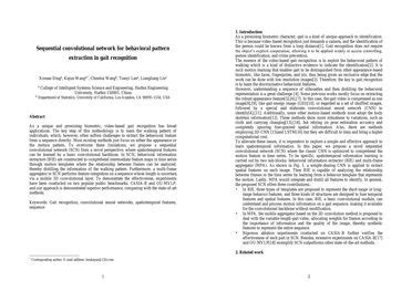Sequential Convolutional Network For Behavioral Pattern Extraction In