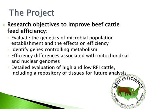 PPT - National Program for the Genetic Improvement of Feed Efficiency in Beef Cattle PowerPoint ...