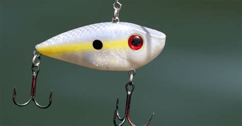 Best Lipless Crankbaits Reviewed Our Best 10 Picks 2025