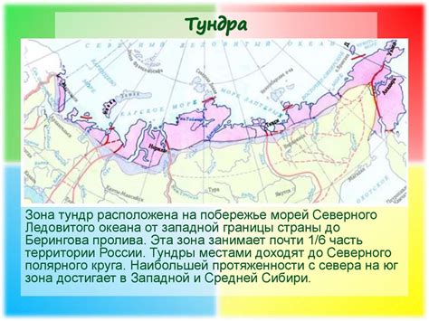 Северные безлесные природные зоны презентация онлайн