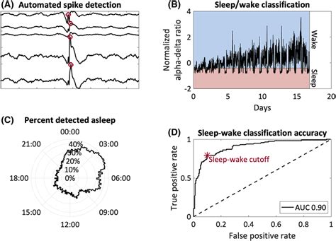 Schematic Of Methods And Result Of Sleepwake Classification A We