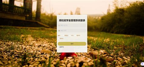 java毕业设计 基于springboot的高校助学奖学金管理系统设计与实现，基于java的大学奖学金管理系统，基于java的学生奖学金管理