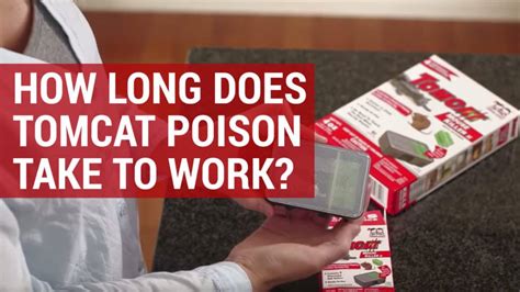 How Long Does Tomcat Rat Poison Take To Work City Pests