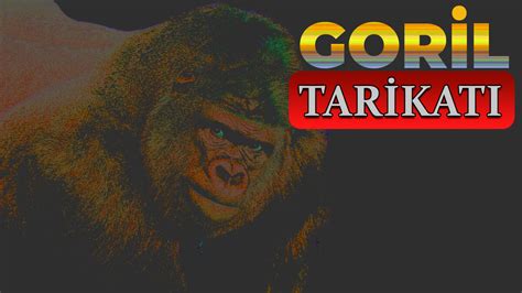 Goril Tarikatı Sanal Cinayet Timi Wikia Fandom