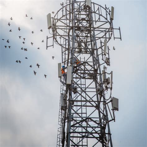 中国5g周年“捷报”：基站和用户规模全球“双第一”建设