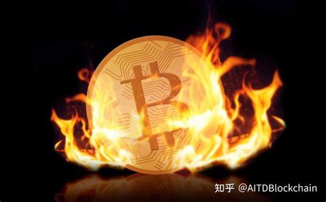 【aitd小话题】比特币到底在谁手里？持有者大揭秘！ 知乎