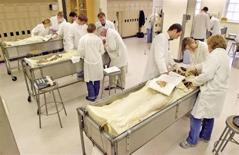 Шүүх шинжилгээ Криминалистик