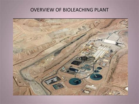 Bioleaching Of Iron Copper Gold Uranium Pptx