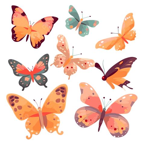 فراشة Clipart عدة فراشات بألوان مختلفة كرتون المتجه الفراشات قصاصة