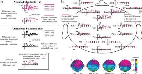 Multisensory Object Based Attention Effect On The Task Irrelevant Download Scientific Diagram