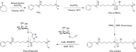 The synthesis of glycopolymers via ROP of ε caprolactone CL and Download Scientific Diagram