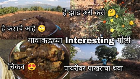 हा कोणता वन्यप्राणी पायरीकडे फेरफटका आईने केला चिकन Kokan Village