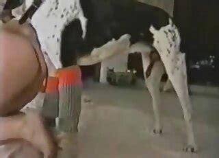 Emberi pina Állati fasz A legjobb állati szexjelenet streamek online