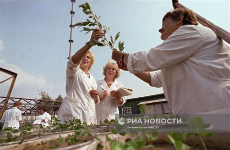 Всесоюзный научно исследовательский институт сельскохозяйственной метеорологии РИА Новости