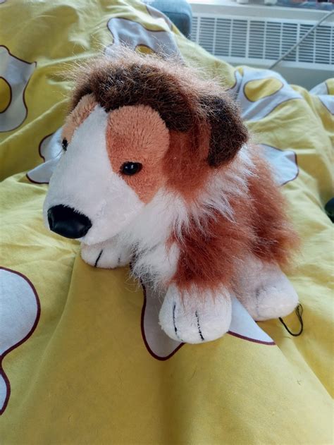 Lassie On Toyhouse