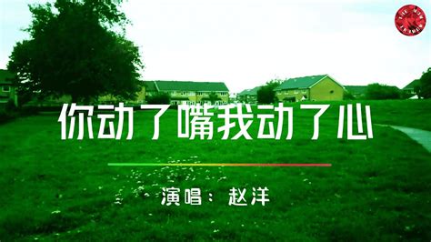 💖你动了嘴我动了心 赵洋💖高音質動態歌詞 Pinyin Lyrics 華語抖音神曲 新歌推薦👍the Now Moment Youtube