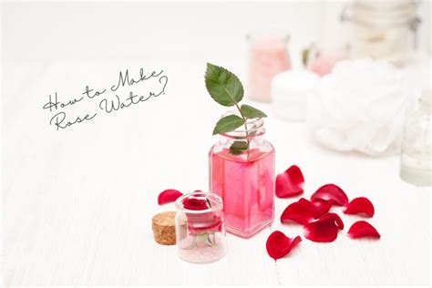 How To Make Rose Water At Home Trendy Wendy Official