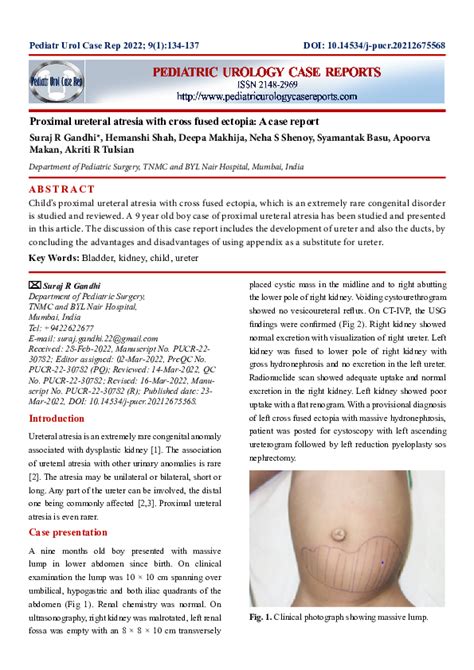 Pdf Proximal Ureteral Atresia With Cross Fused Ectopia A Case Report