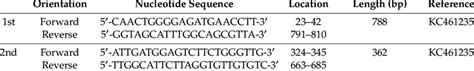 Sequence Of Nested Rt Pcr Primers Download Scientific Diagram