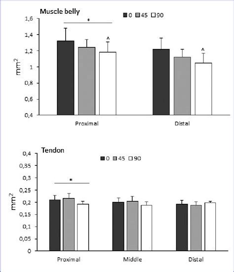 Mean Group Values Of Cross Sectional Area Recorded From The Most
