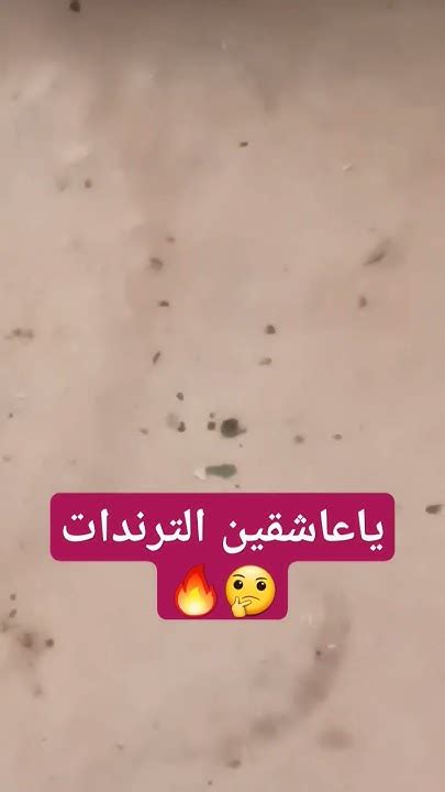 ياعاشقين الترندات Youtube