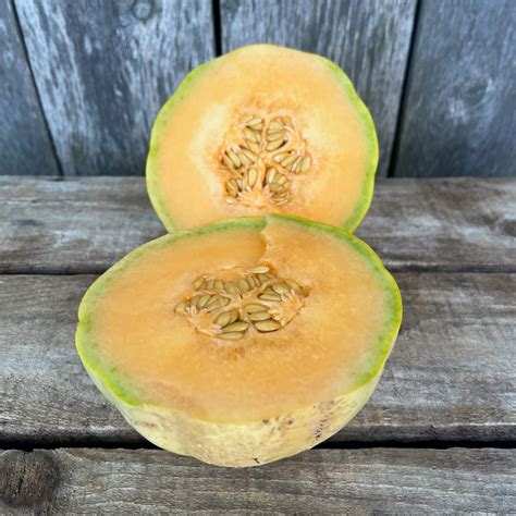 Charentais Cantaloupe Revival Seeds