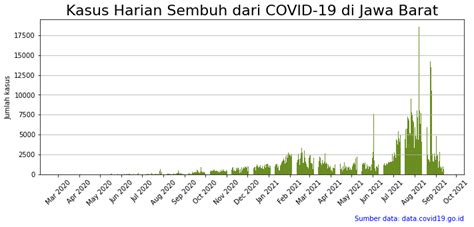 Rokhmah Vira Portfolio