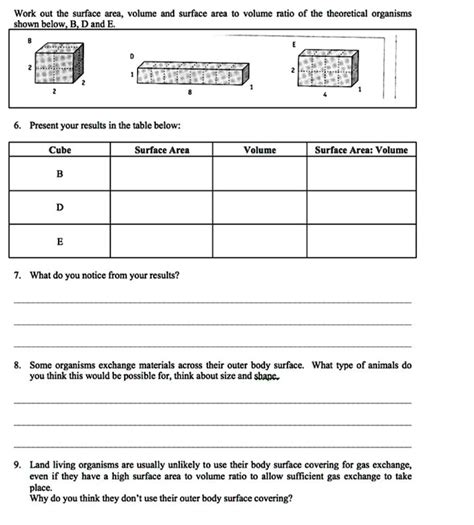 SOLVED Work Out The Surface Area Volume And Surface Area To Volume Ratio Of The Theoretical
