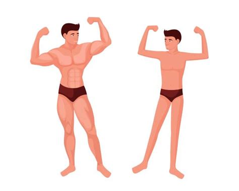 150 Ectomorph Stock Illustrations Royalty Free Vector Graphics And Clip