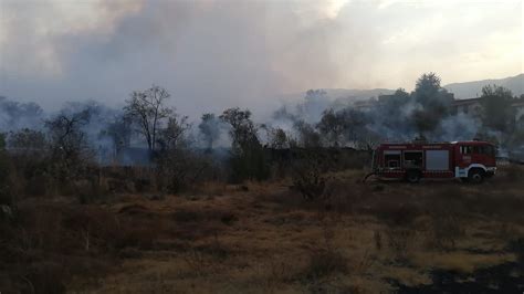 Incendio En Cdmx Ardió Reserva Ecológica Del Pedregal En Tlalpan Infobae