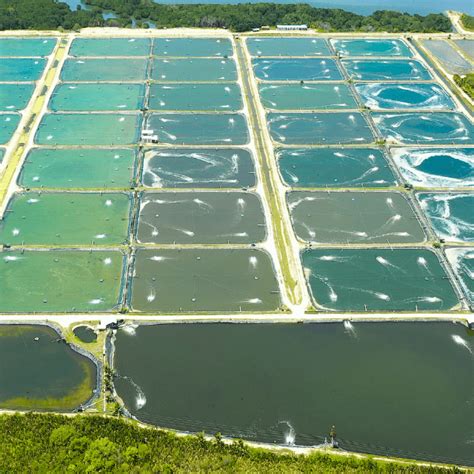 Sensor Iot De Oxígeno Disuelto Aonchip Calidad Del Agua