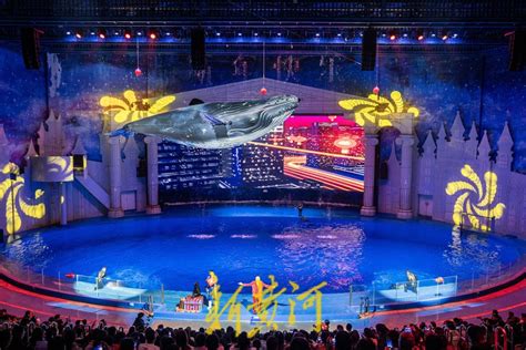“泉”在济南过大年 春节假期，游乐园新年氛围拉满 济南社会 舜网新闻