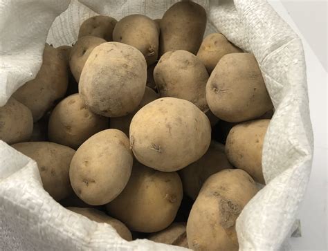 Przepyszne Młode Ziemniaki Ekologiczne Denar 10 KG Zagroda Boryny