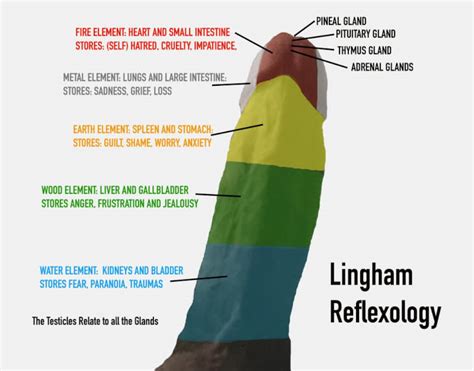 Lingam Massage Therapists Lingam Massage Therapy